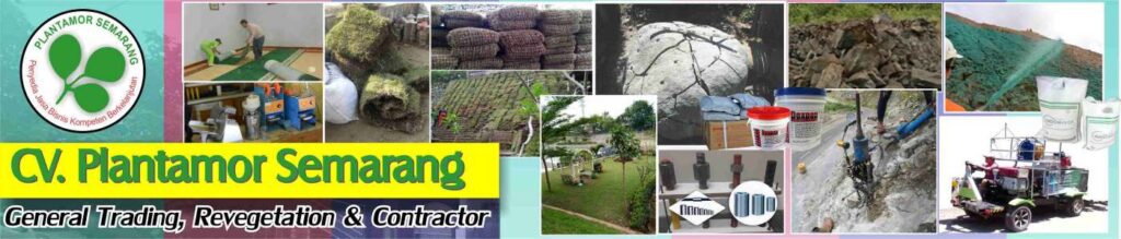 plantamor semarang | CV. Plantamor