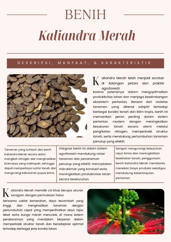 Kaliandra Merah | CV. Plantamor Semarang