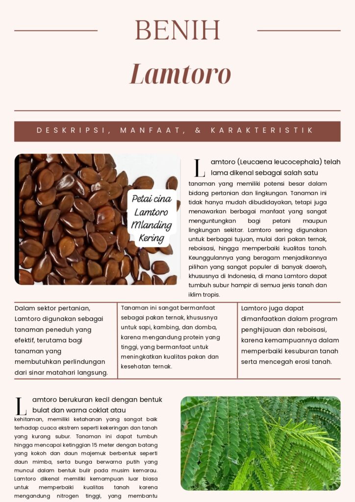 Lamtoro | CV. Plantamor Semarang